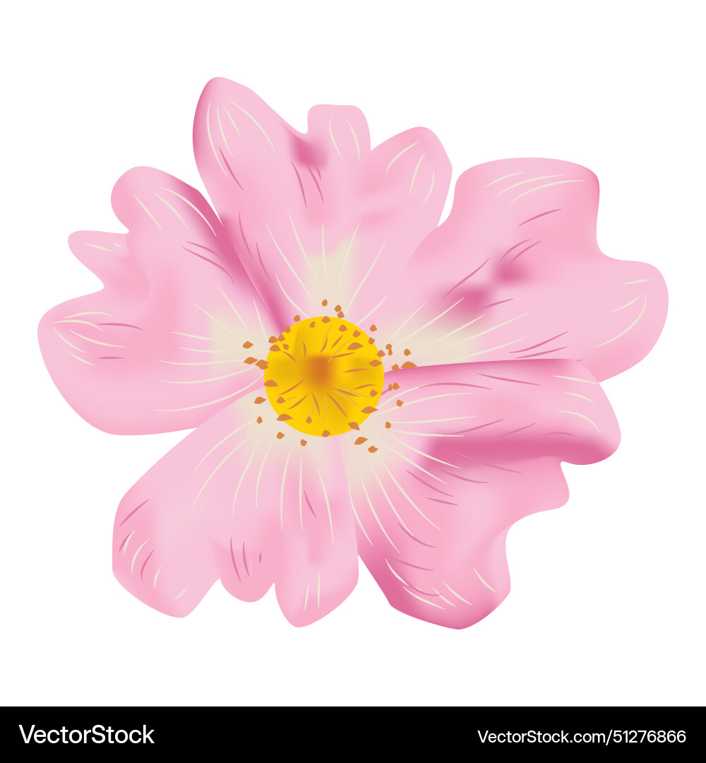 Pink spring time flowers Royalty Free Vector Image