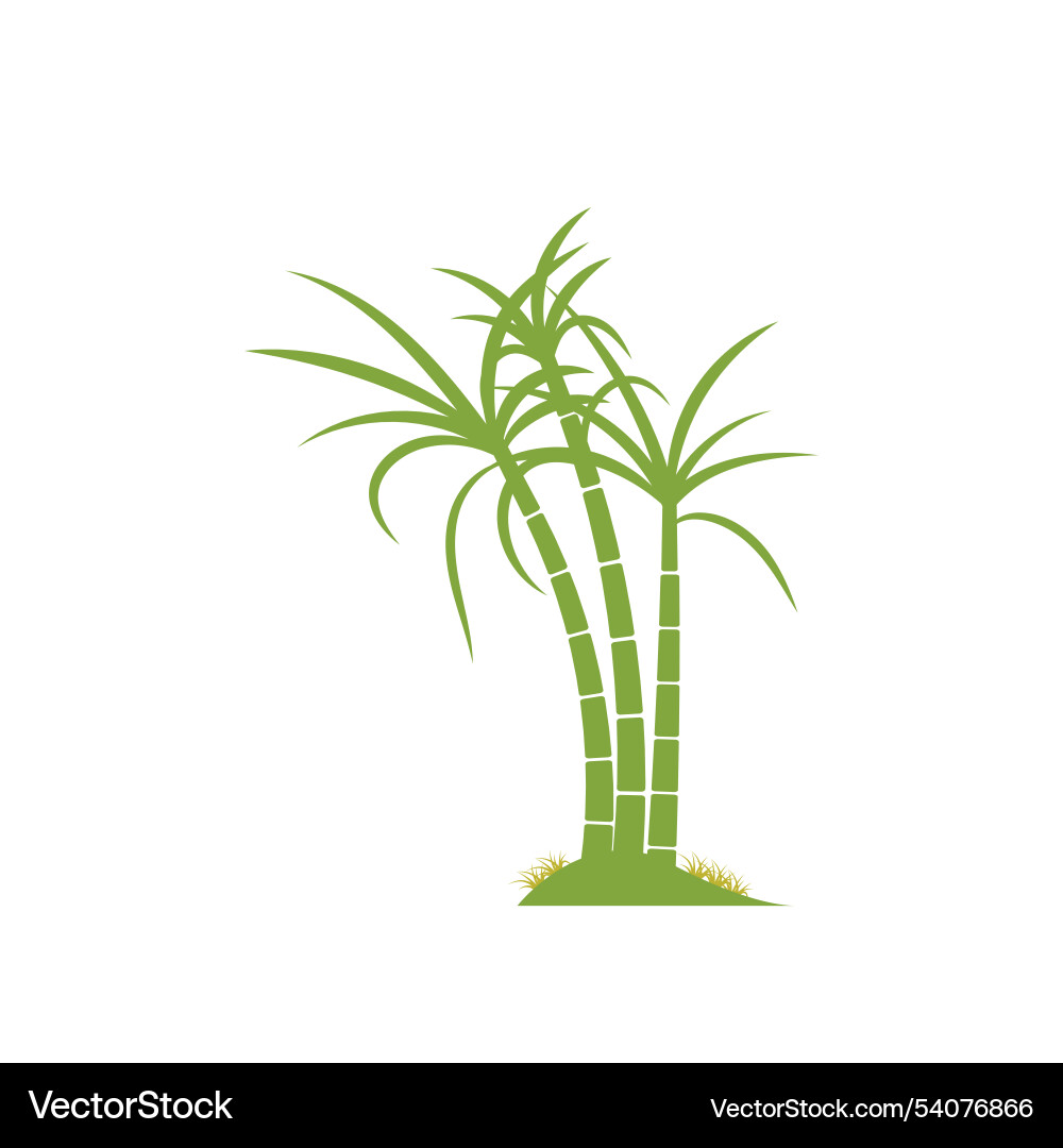 Sugar cane plant logo design Royalty Free Vector Image
