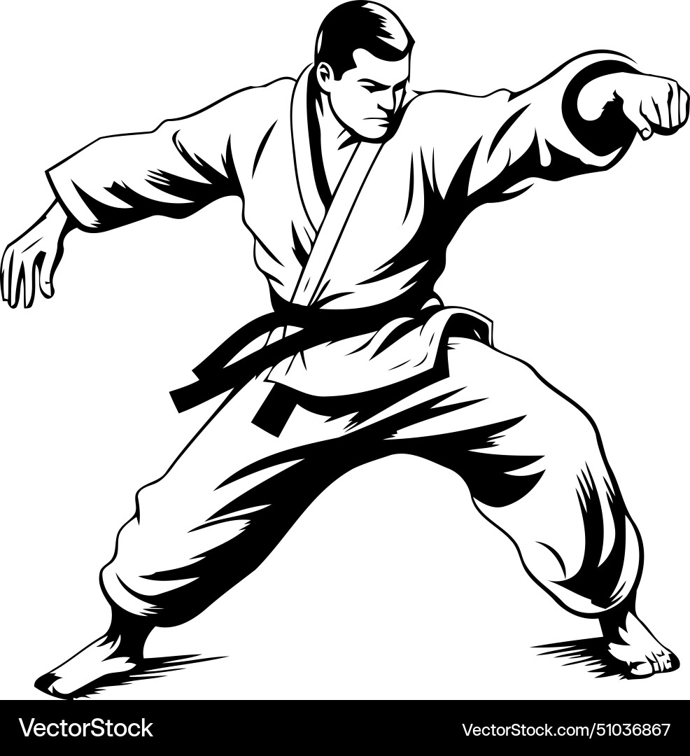 Karate japanese martial art Royalty Free Vector Image