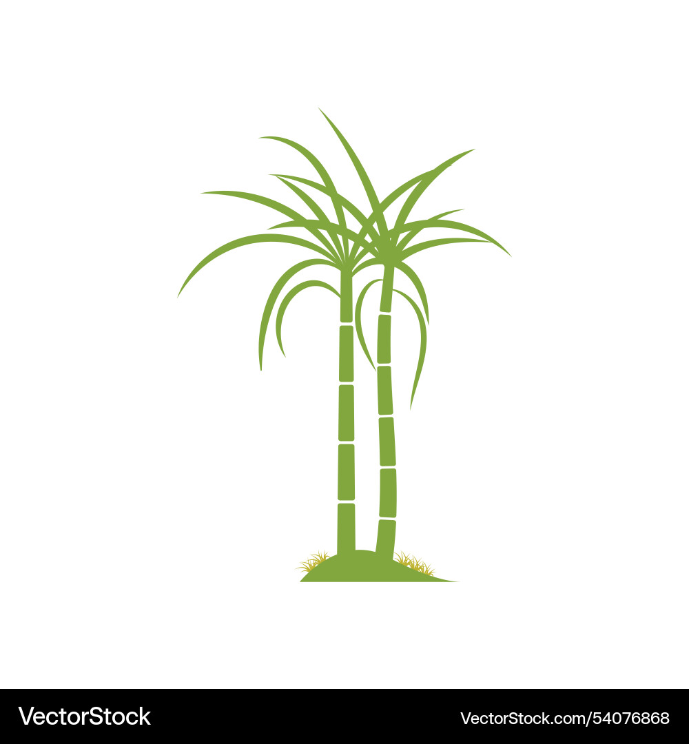 Sugar cane plant logo design Royalty Free Vector Image