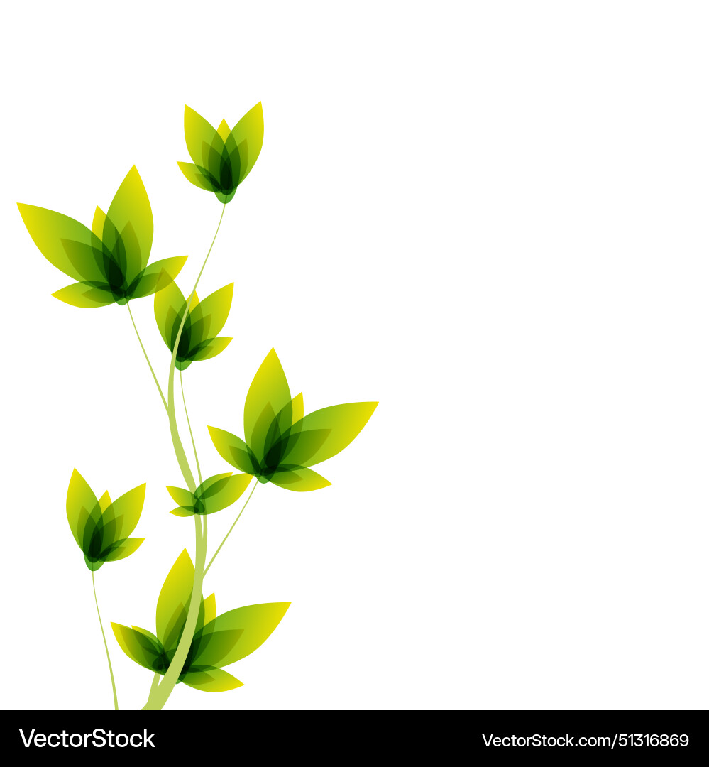 Nature floral plant background abstract Royalty Free Vector