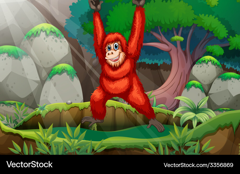 Orangutan in forest Royalty Free Vector Image - VectorStock