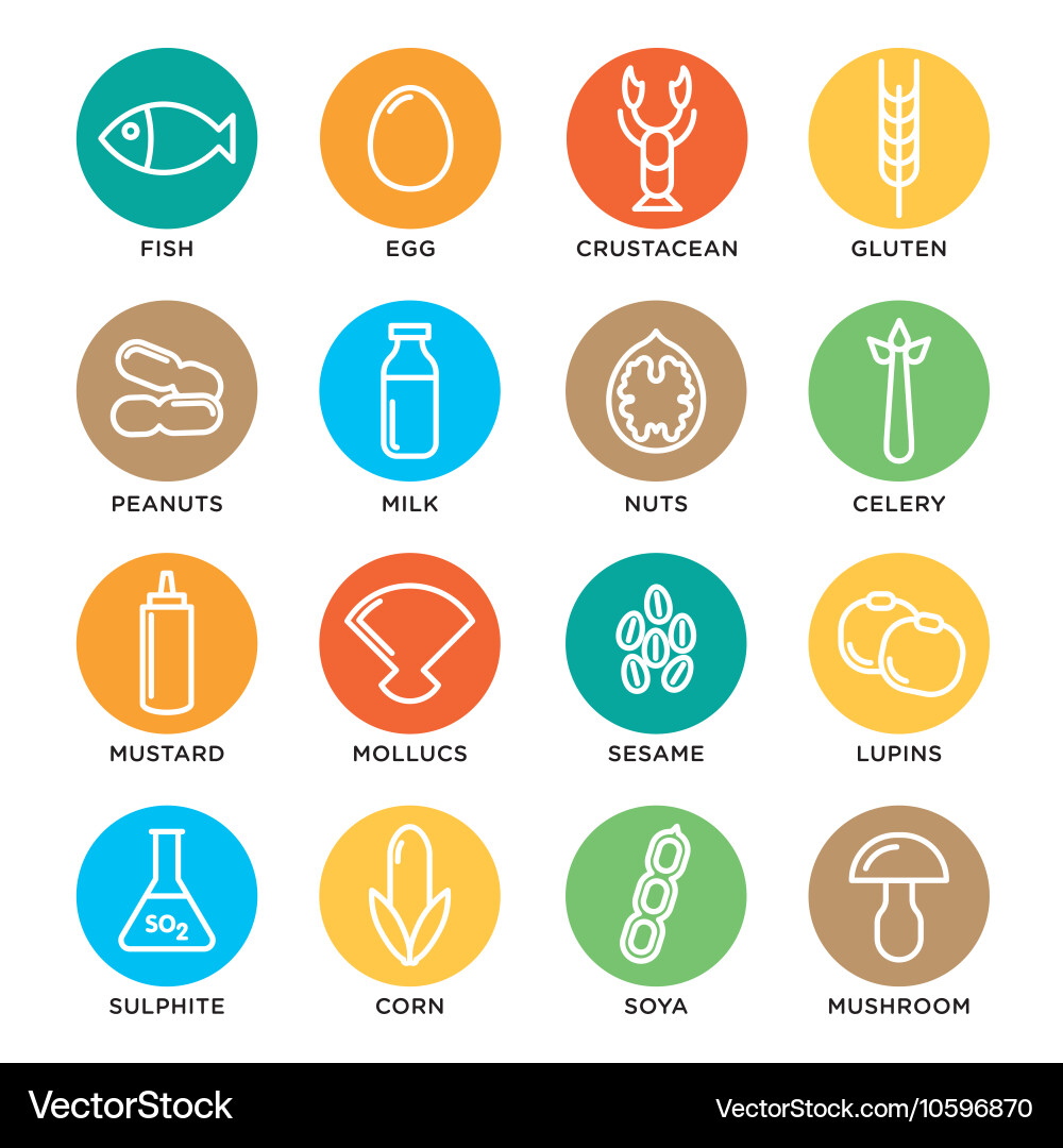 Allergen Icon Set - Food Warning Royalty Free Vector Image