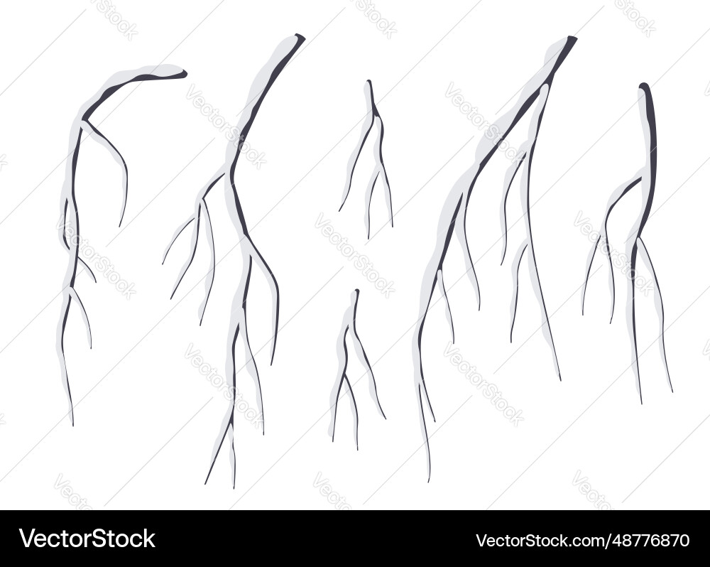 Snow covered weeping willow tree branches Vector Image