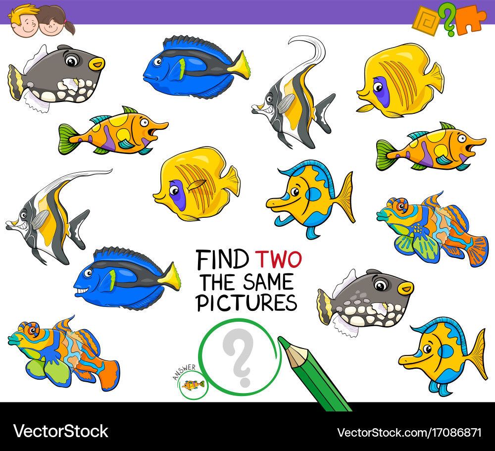 Find two the same pictures activity game Vector Image