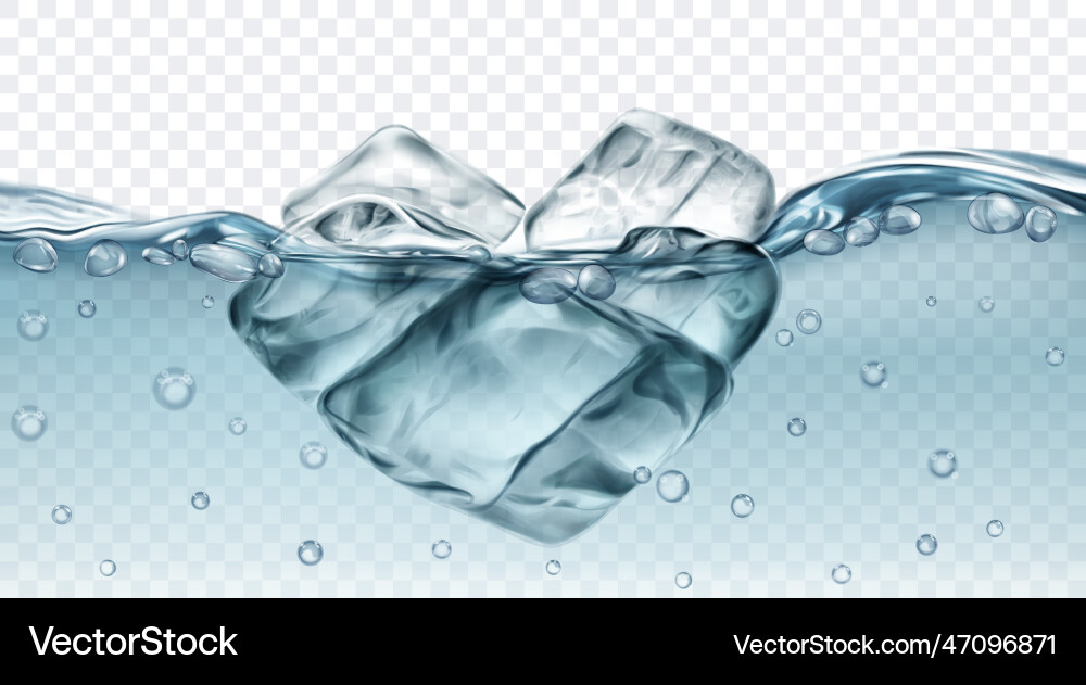 Ice cubes floating in water Royalty Free Vector Image