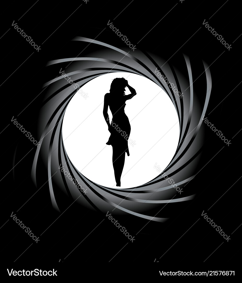 Rifled Barrel - Sniper's View Royalty Free Vector Image