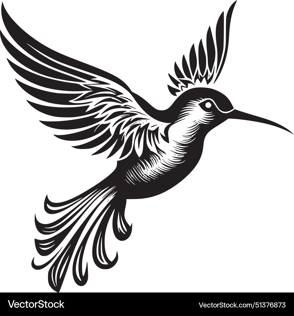 Hummingbird - black and white Royalty Free Vector Image