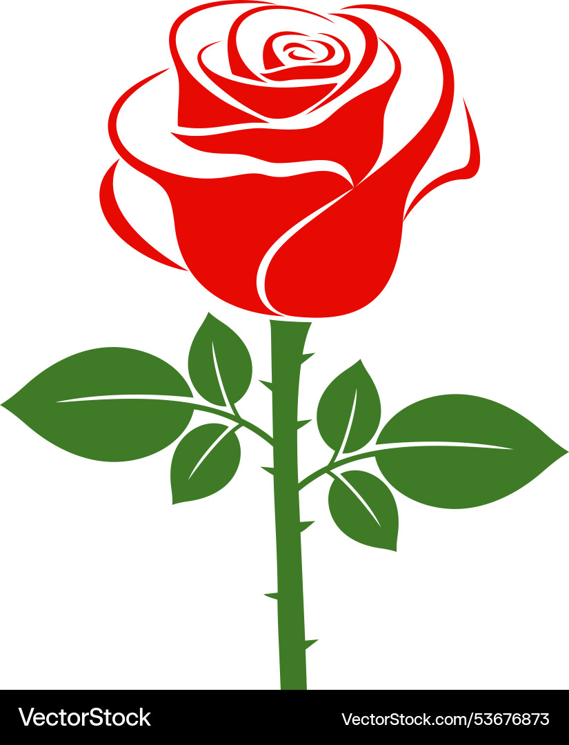 Rose Royalty Free Vector Image - VectorStock