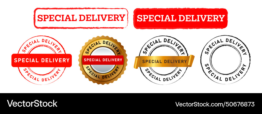 Special delivery package mail rectangle circle Vector Image