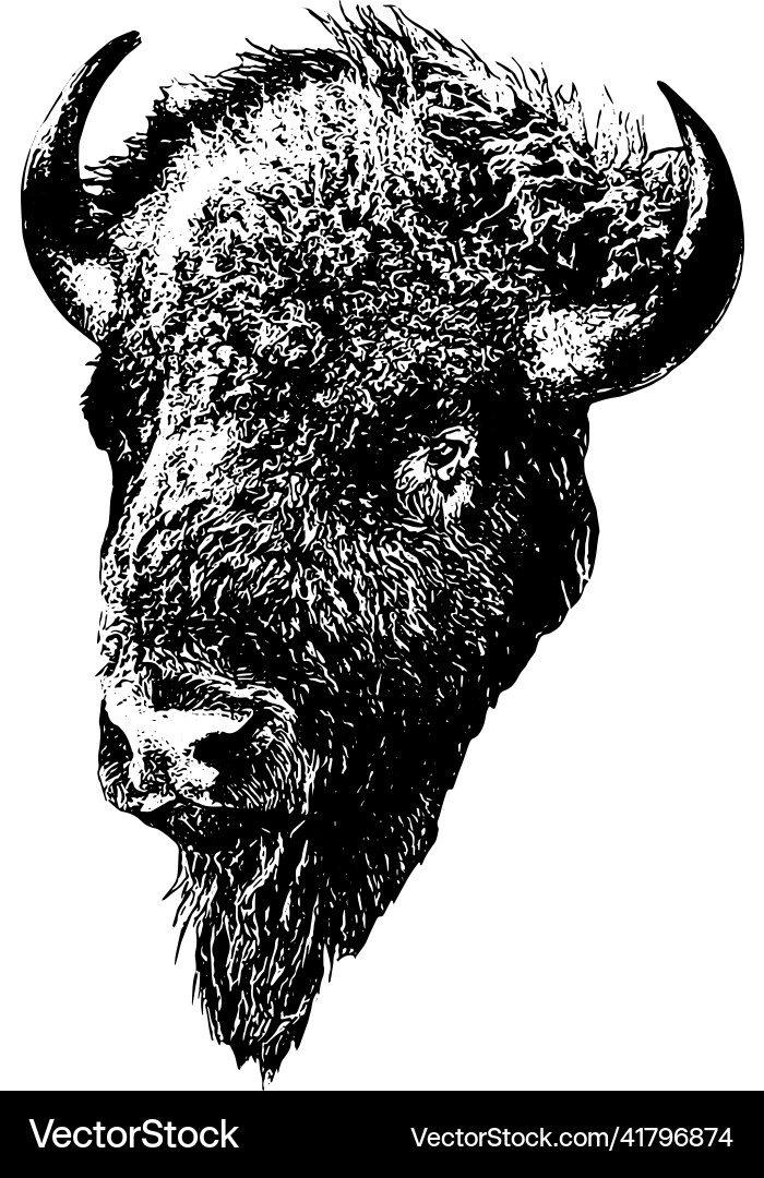 Bison Cuts Vector Images (over 110)