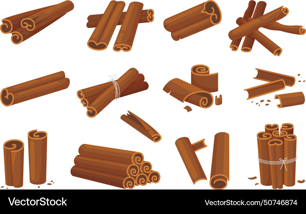 Cartoon cinnamon sticks isolated spice Royalty Free Vector