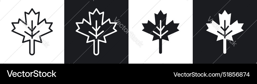 Maple leaf icon set in black and white filld Vector Image
