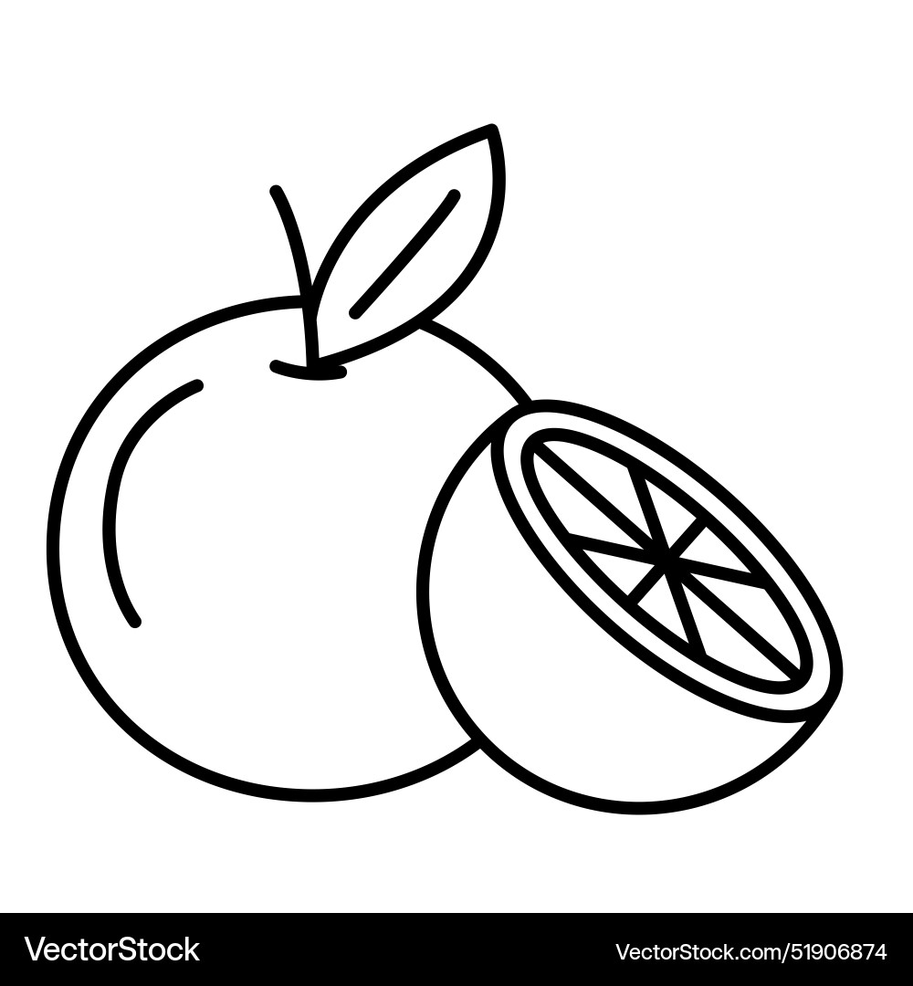 Orange icon in thin line style graphic design Vector Image