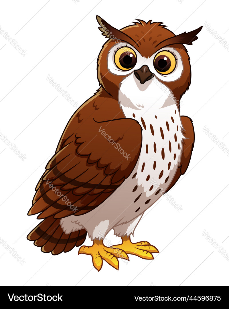 Owl cartoon animal Royalty Free Vector Image - VectorStock