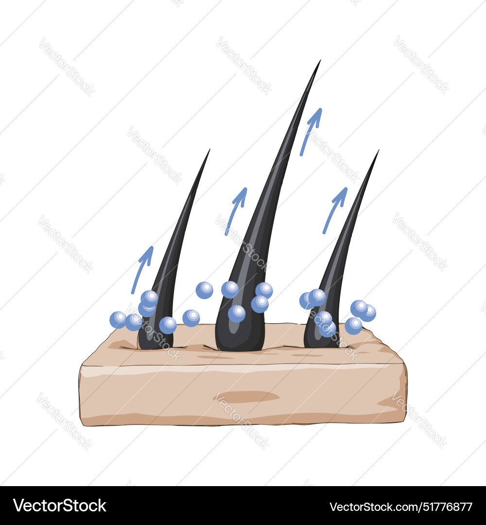 Minerals for healthy hair growth Royalty Free Vector Image