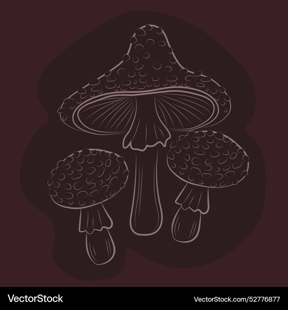 Mushroom fly-agaric toadstool outline icon Vector Image