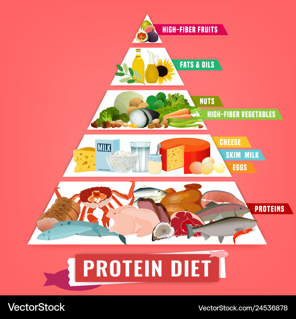 High protein diet poster Royalty Free Vector Image