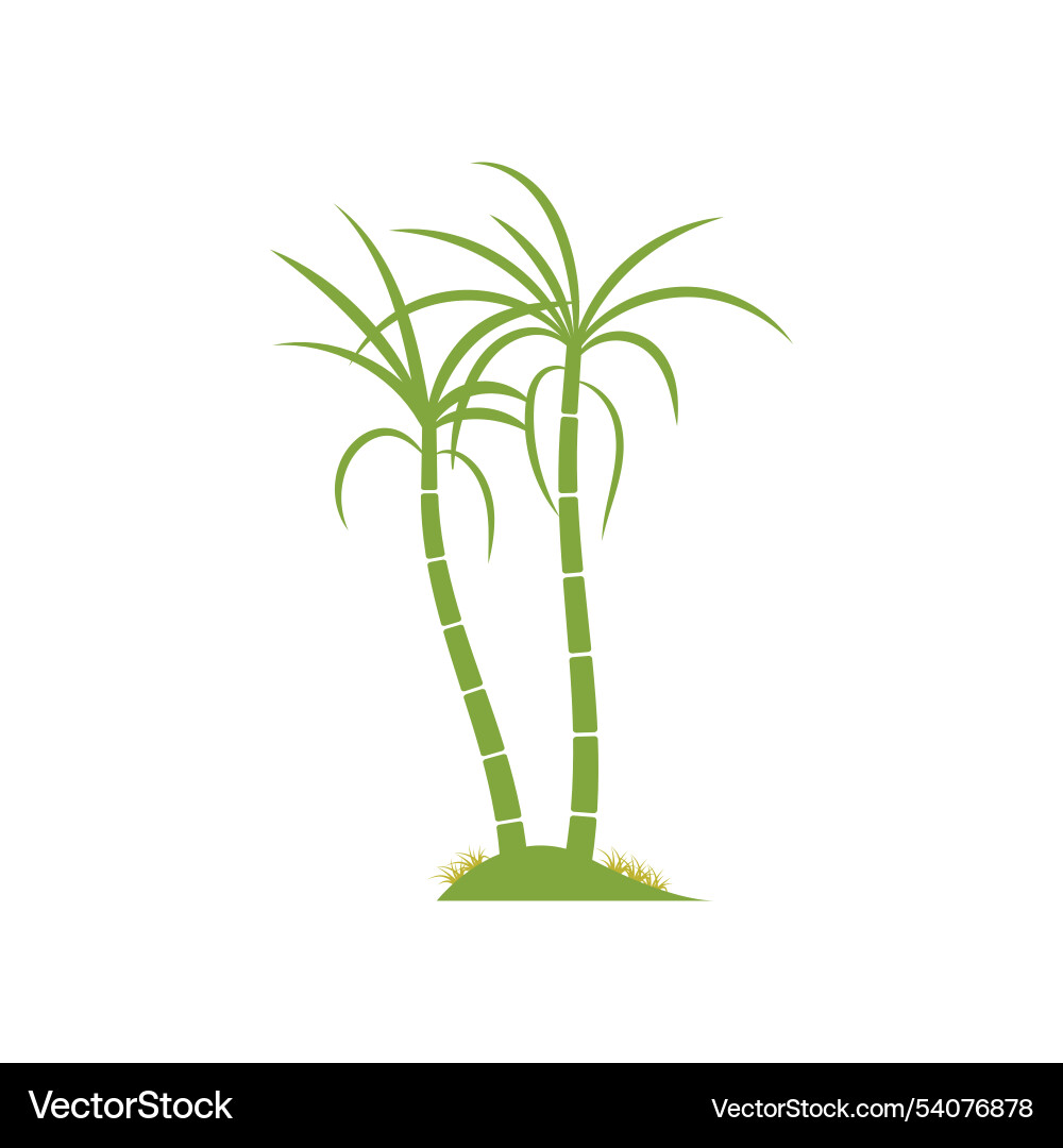 Sugar cane plant logo design Royalty Free Vector Image