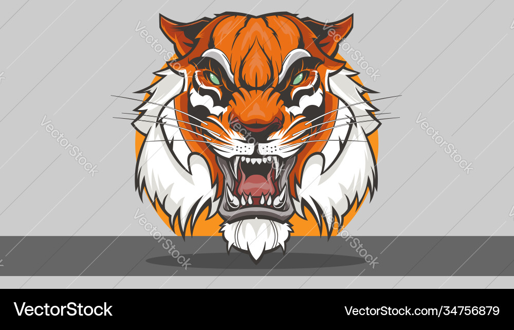 Angry tiger head Royalty Free Vector Image - VectorStock