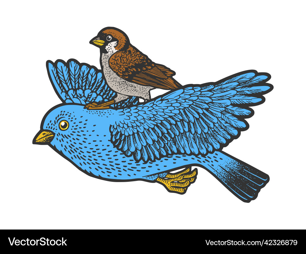 Bird ride while flying line art color sketch Vector Image