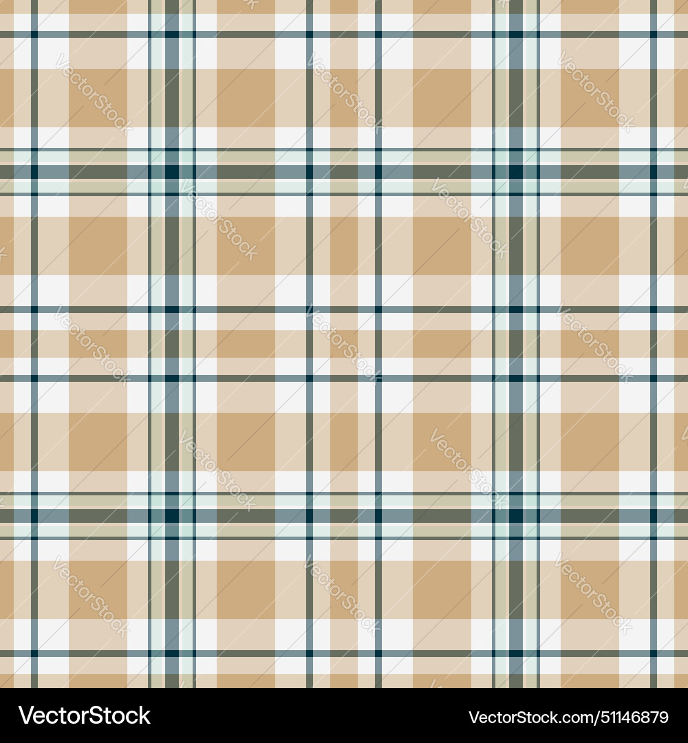Flannel background check texture tattersall Vector Image
