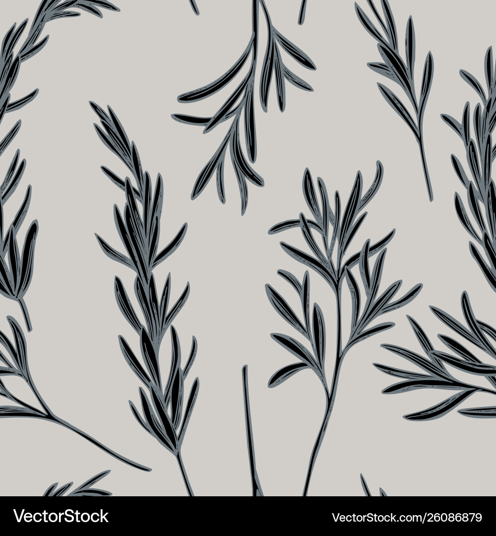 Hand-Drawn Rosemary Pattern Royalty Free Vector Image
