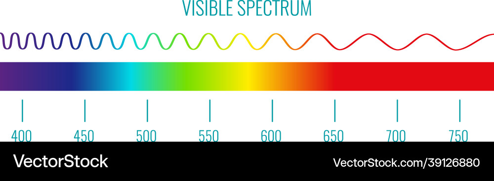Color spectrum infographics Royalty Free Vector Image