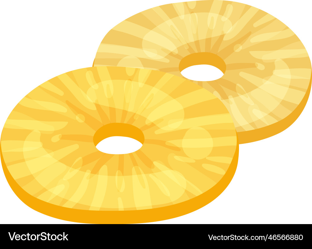 Flat dried pineapple Royalty Free Vector Image