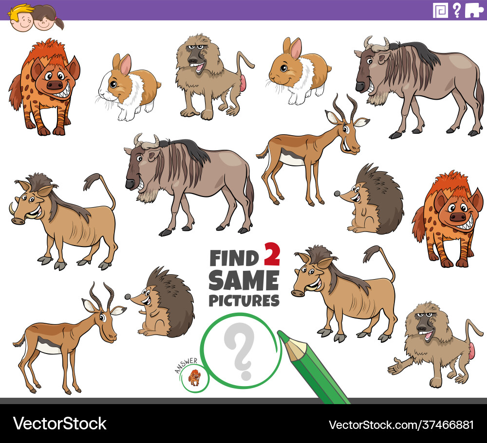 Find two same cartoon wild animals educational Vector Image