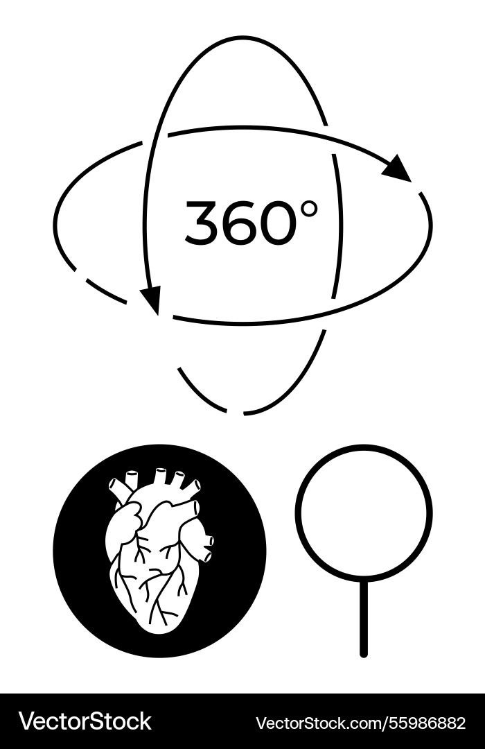 360 rotation concept with anatomical heart Vector Image