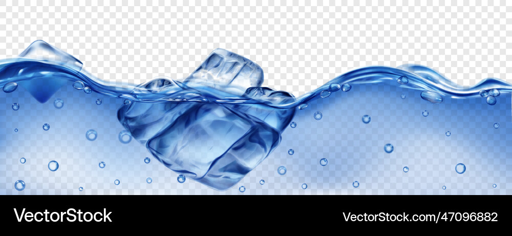 Ice cubes floating in water Royalty Free Vector Image