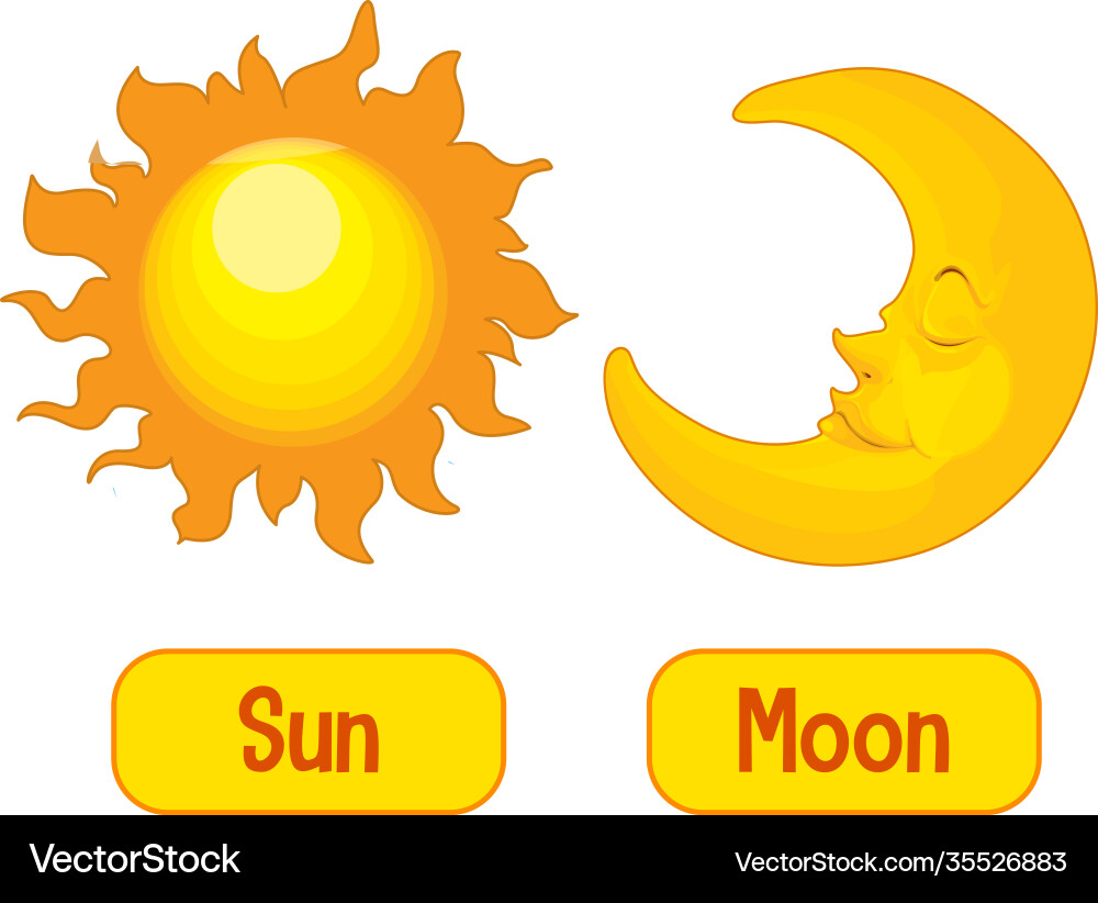 Opposite words with sun and moon Royalty Free Vector Image