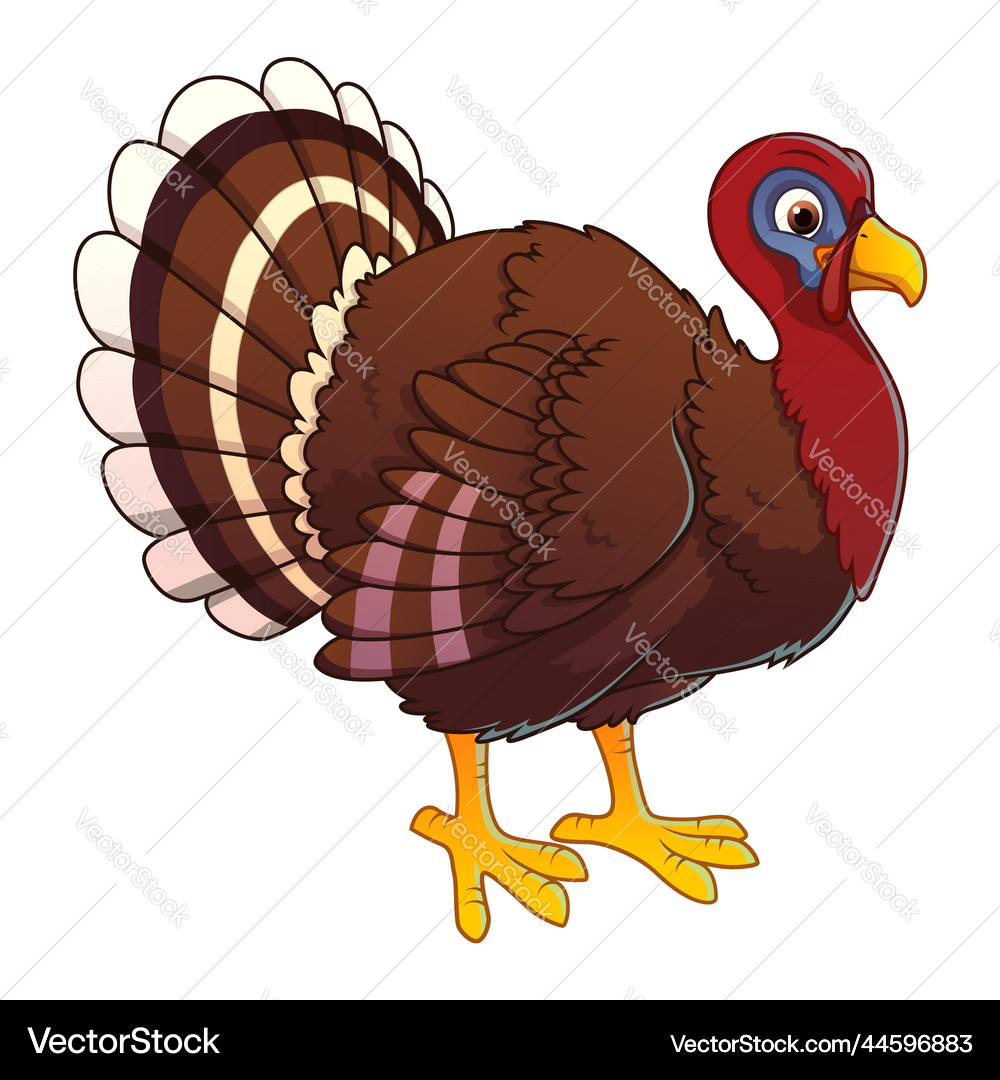 Turkey cartoon animal Royalty Free Vector Image