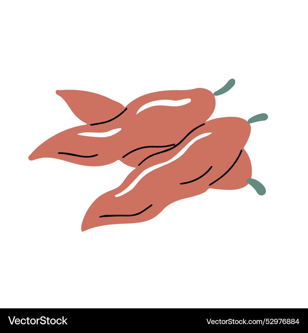 Hot pepper on a white background Royalty Free Vector Image