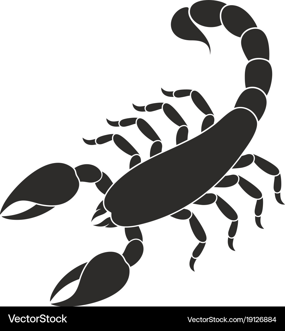 Scorpion Royalty Free Vector Image - VectorStock