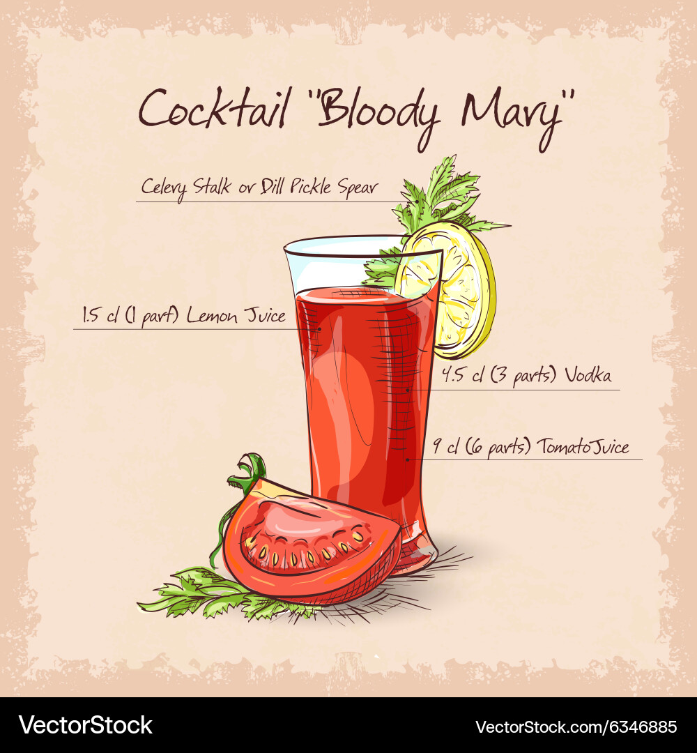 Bloody mary cocktail Royalty Free Vector Image