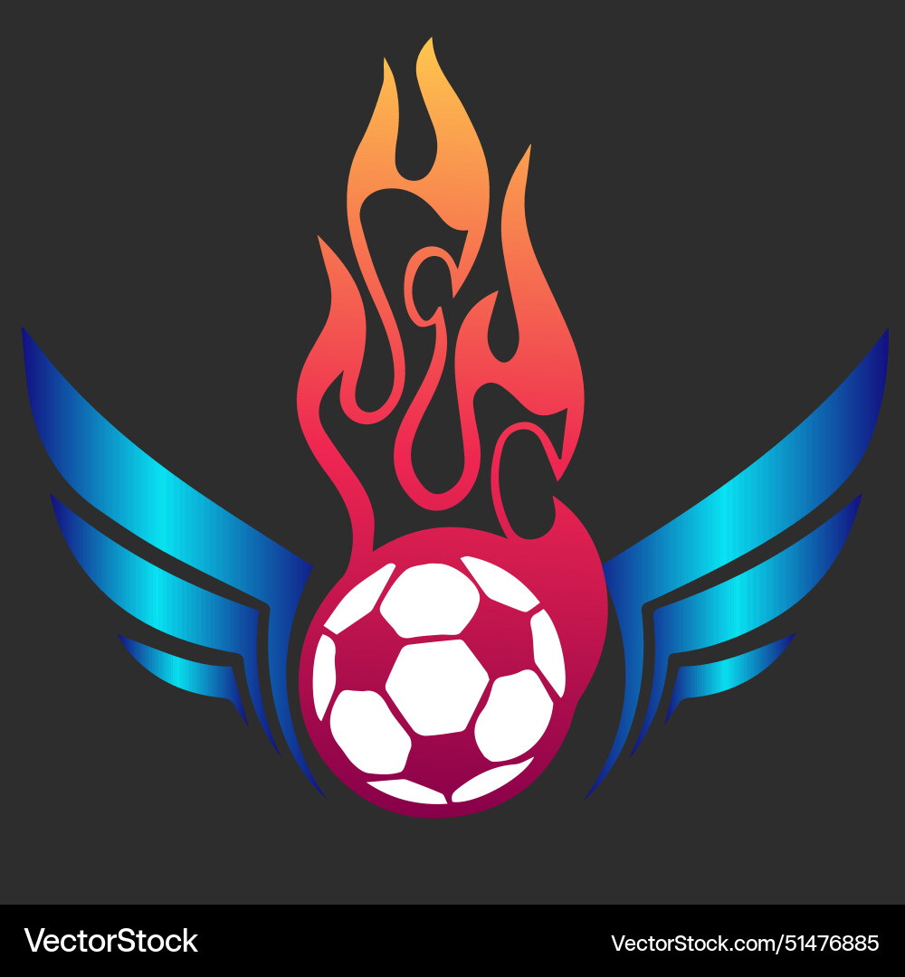 Soccer ball with flames Royalty Free Vector Image