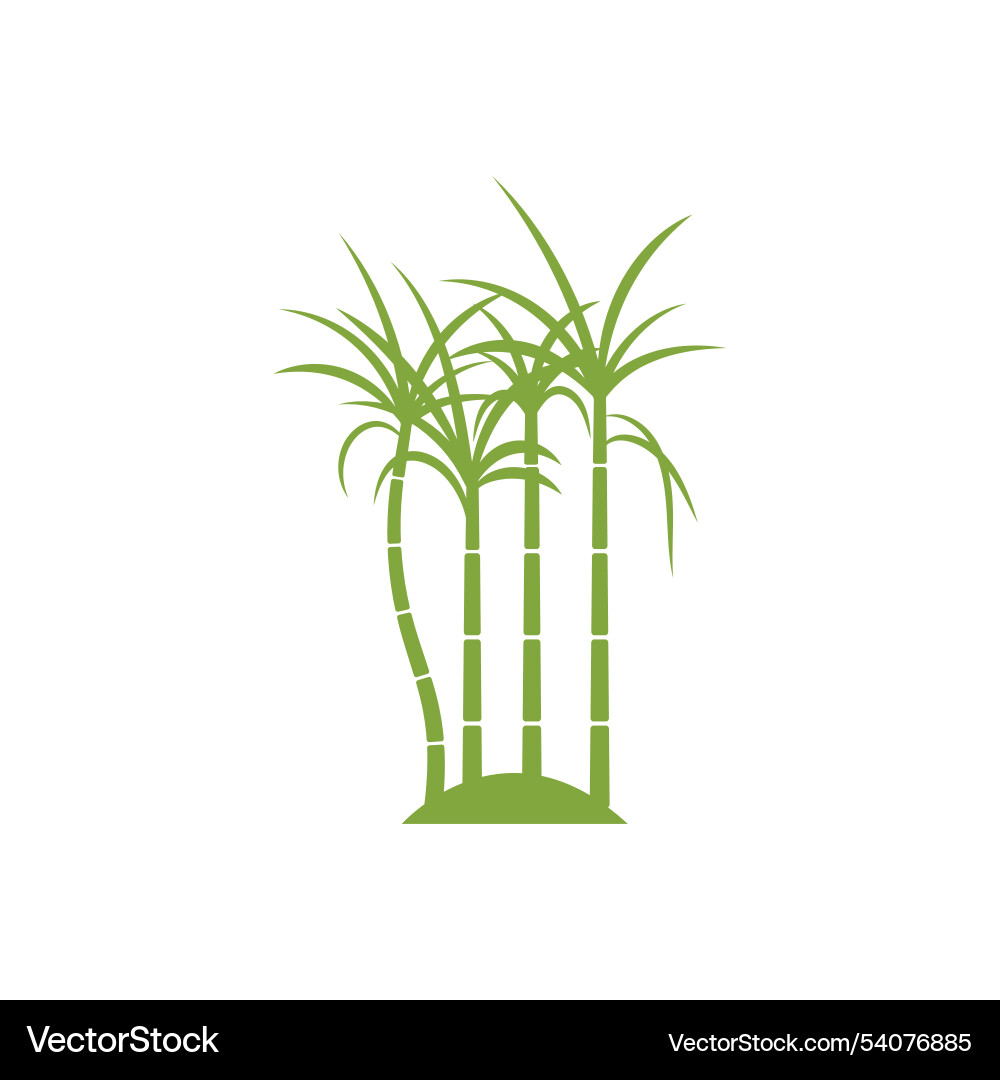 Sugar cane plant logo design Royalty Free Vector Image