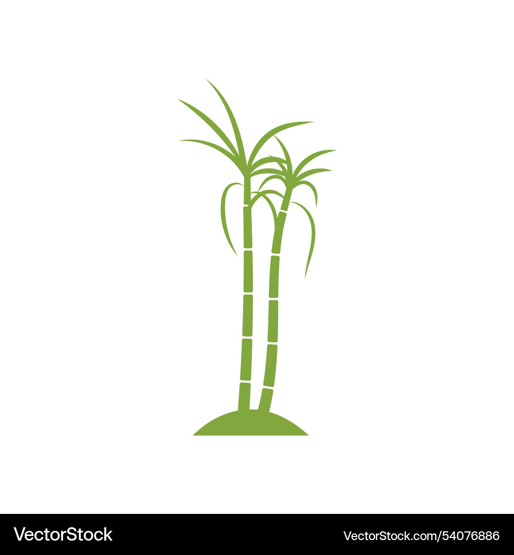 Sugar cane plant logo design Royalty Free Vector Image