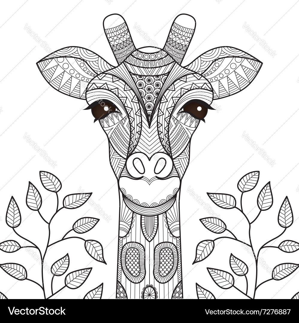 Giraff coloring page Royalty Free Vector Image