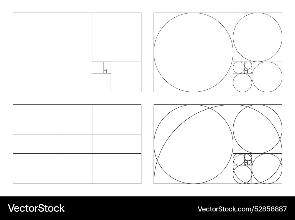Golden ratio template method section Royalty Free Vector