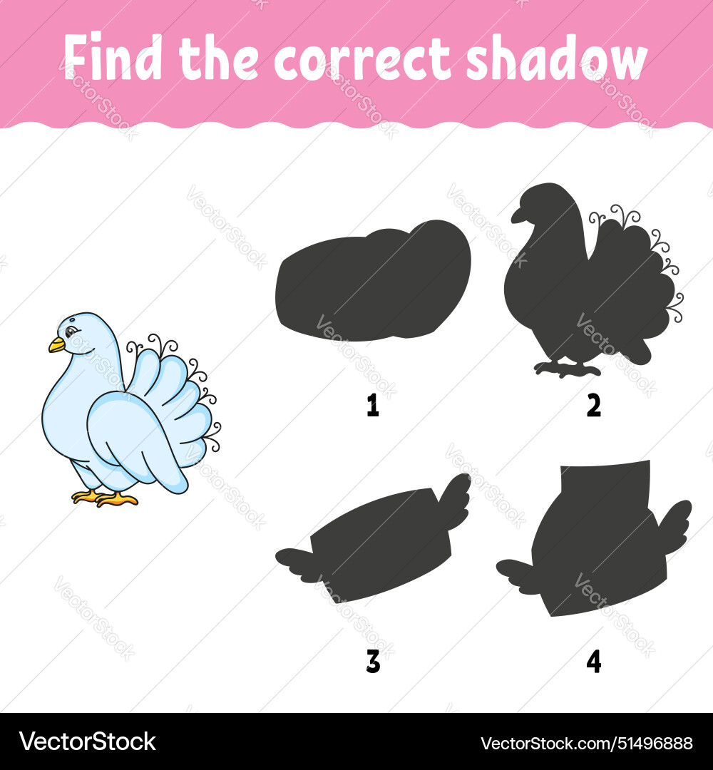 Find the correct shadow education developing Vector Image