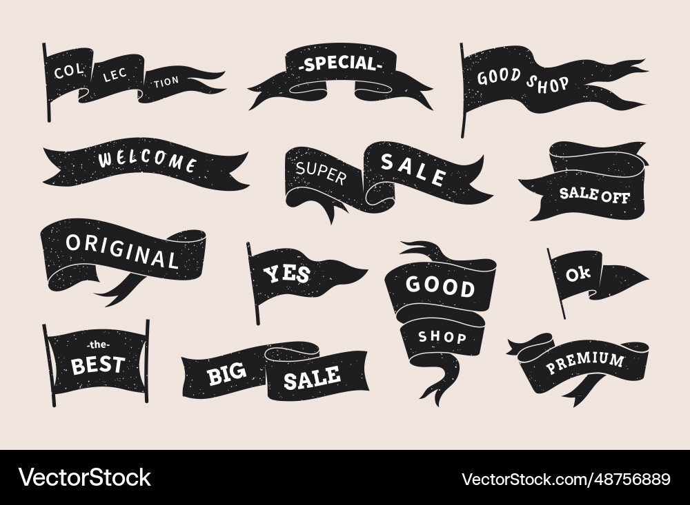 Flag logo vintage waving pennant hand drawn Vector Image