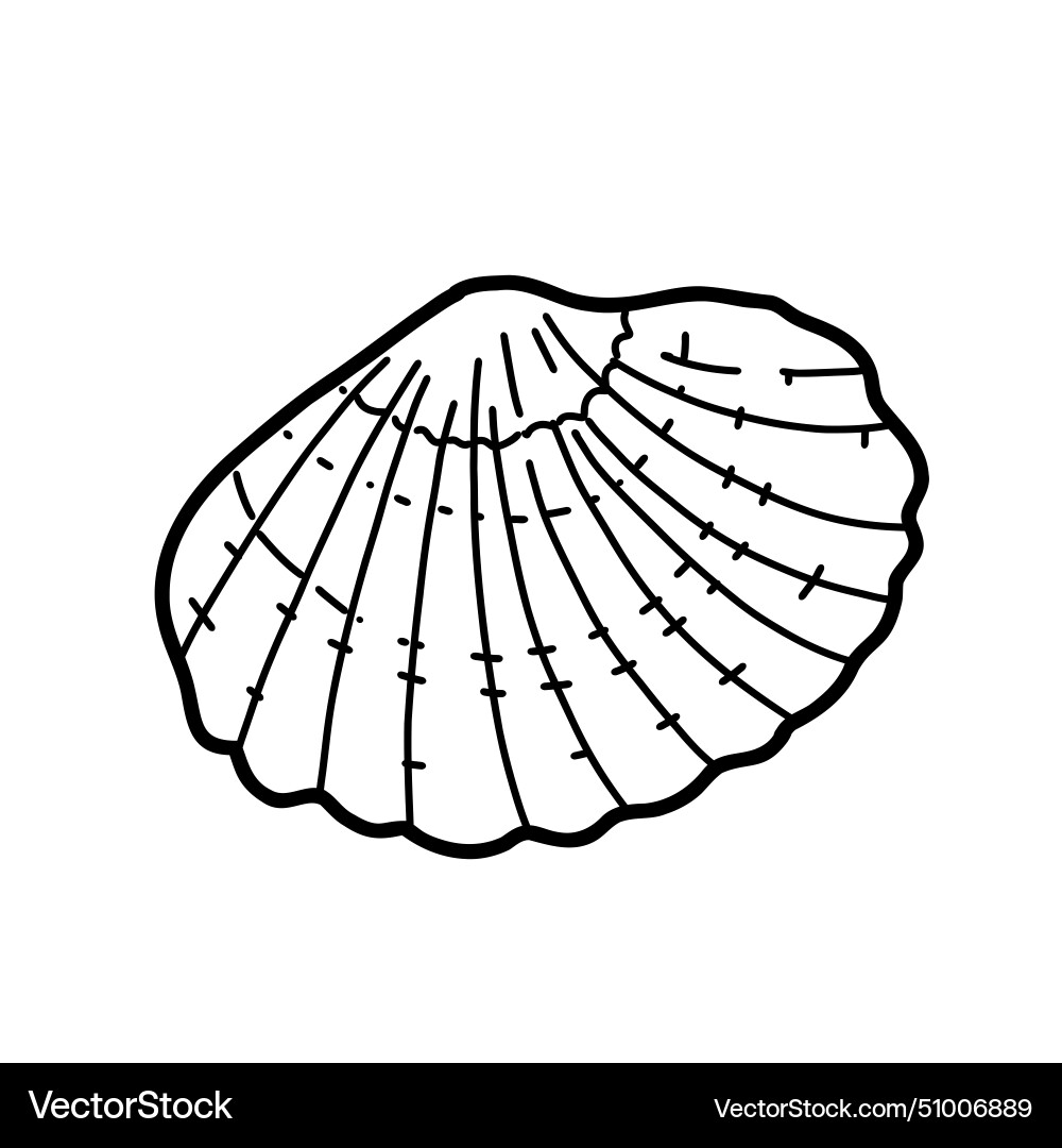 Hand drawn sea shell in doodle Royalty Free Vector Image