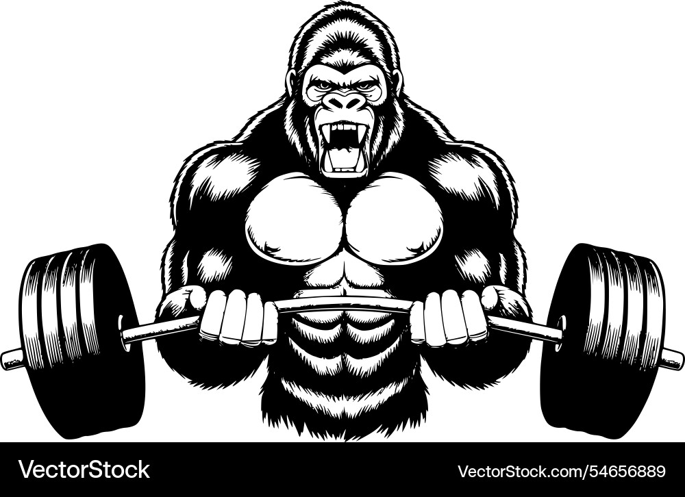 Powerful Gorilla Lifting Weights Royalty Free Vector Image