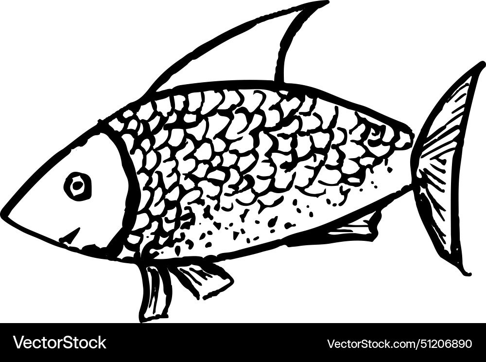Fish nature a sketch hand-drawn drawing Royalty Free Vector