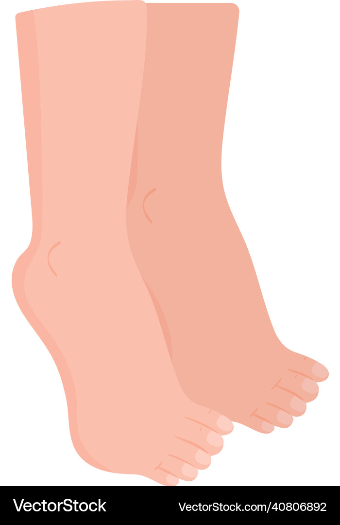 Human body part feet Royalty Free Vector Image