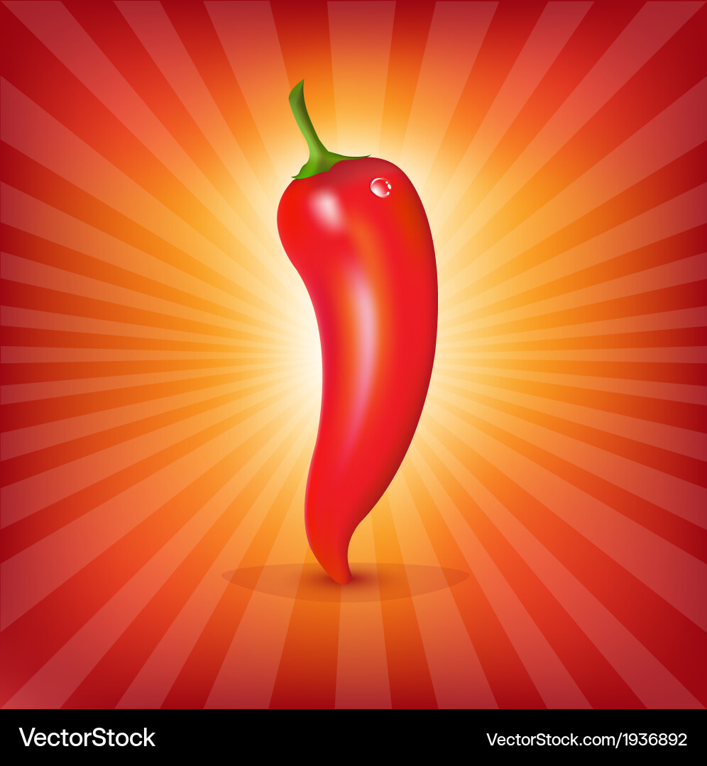 Red hot pepper with sunburst Royalty Free Vector Image