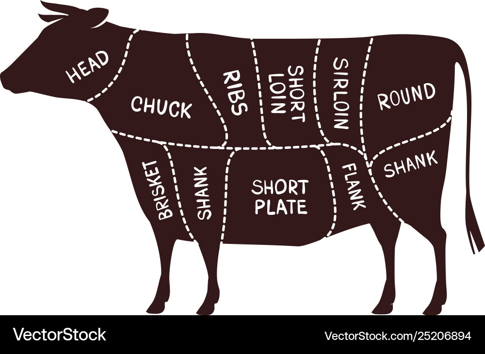 Cow cutting scheme butcher shop beef Royalty Free Vector